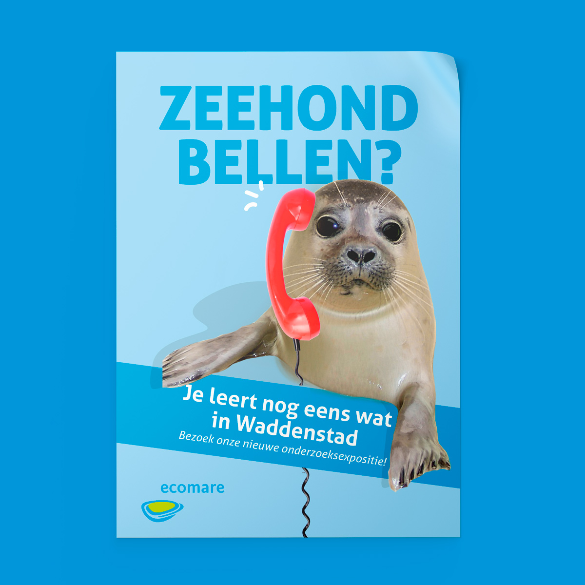 Ecomare case website - Creatief bureau Raadhuis